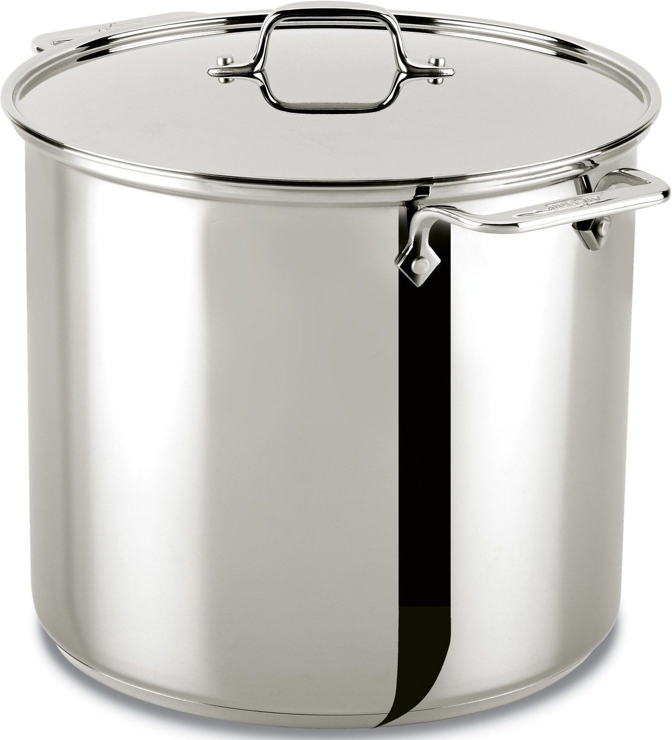 What Are The Best 12 Quart Stock Pots EBay