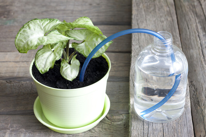 How to Automatically Water Potted Plants | eBay How to Automatically Water Potted Plants | eBay