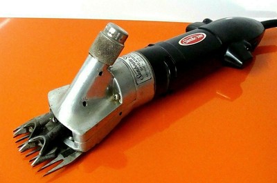 Sheep Shears Oster for sale | Only 4 left at -75%