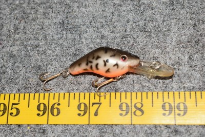 Other - Mann's Razorback