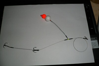 Popped Up Deadbait Rig - Anglers' Net