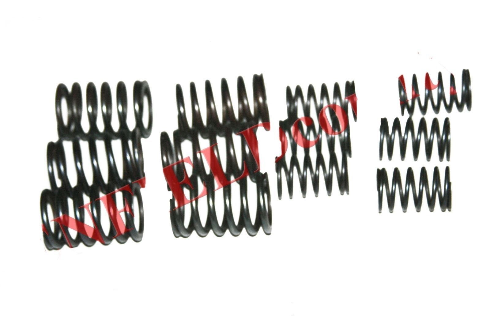 Head Valve Spring Inner & Outer Set of 12 Units For Massey ferguson ...