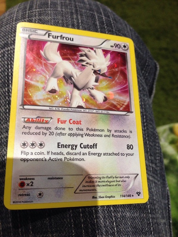 Furfrou Pokemon Cards - Find Pokemon Card Pictures With Our Database ...