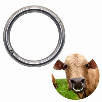 Cattle - Beef - Bull Nose Ring