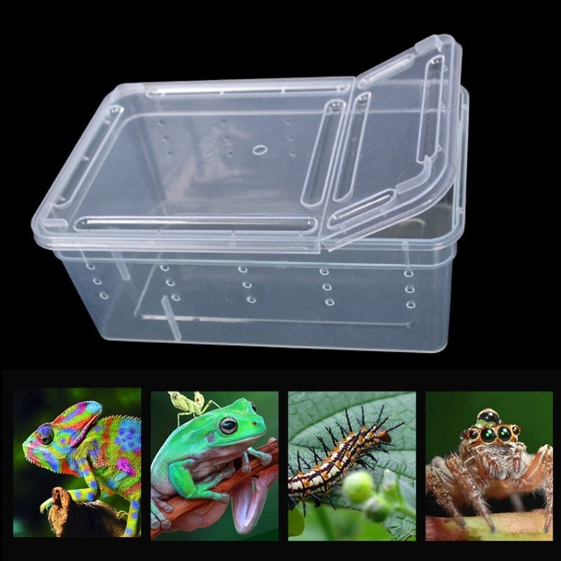 Clear Breeding Box Feeding Reptile Transport Gecko Lizard Spider Insect ...