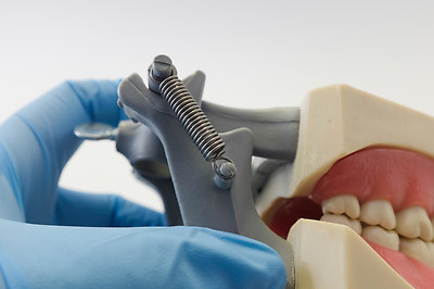 Dental Typodont Model 860R Prep Teeth NBDE NERB ADEX G V Black ...