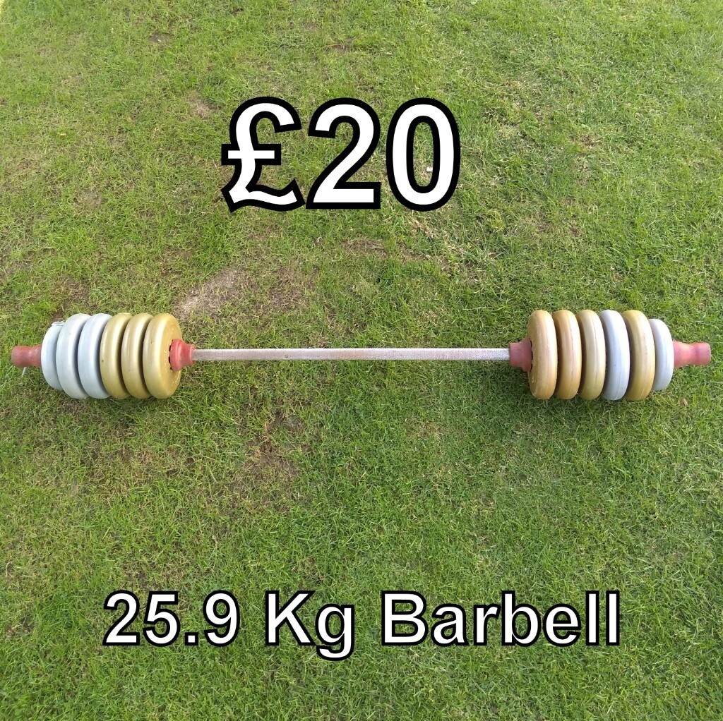 25 9 Kg Barbell In Oadby Leicestershire Gumtree