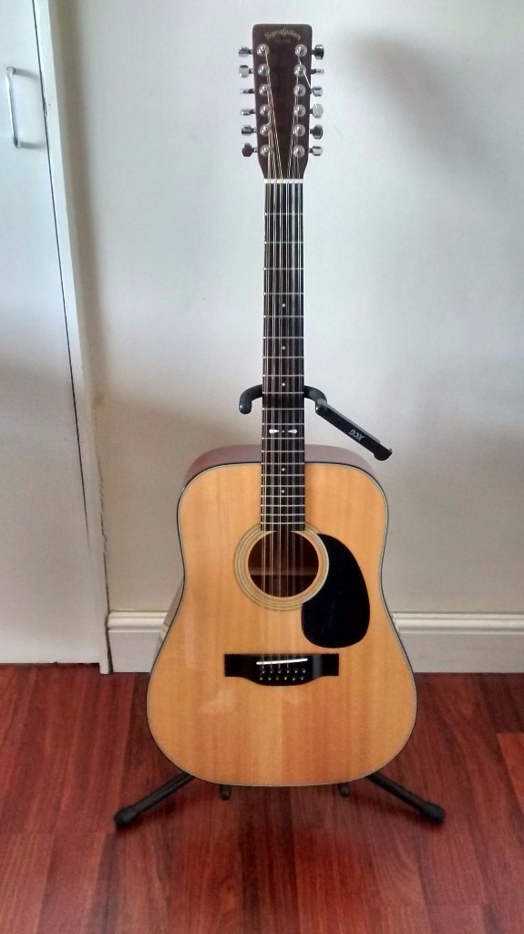 Martin Dm12 For Sale - aspoyies