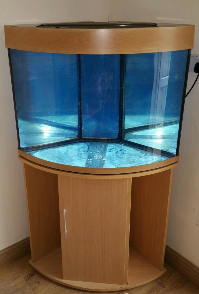 Corner Fish Tank Sizes at Freda Williams blog