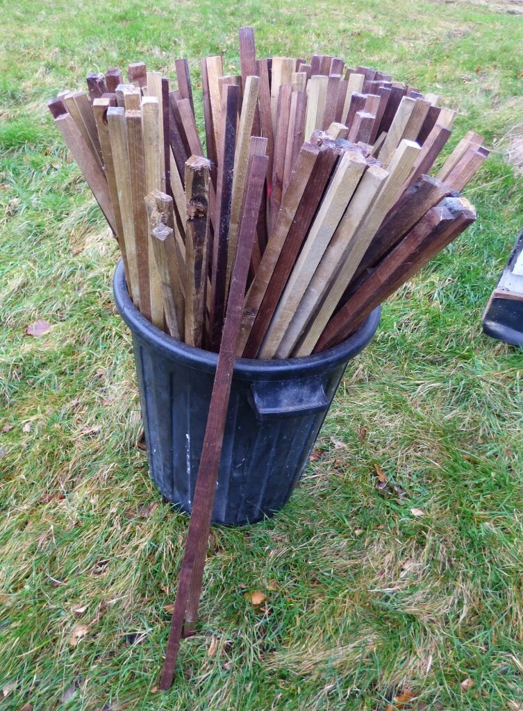 More than 100 Wooden Tree Stakes (?) 90cm x 2cm x 2cm | in Biggar ...