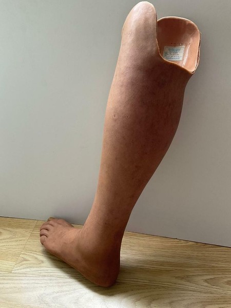 Prosthetic Leg for sale in UK | 21 used Prosthetic Legs