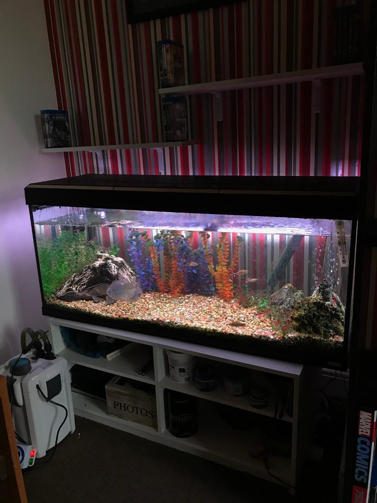 300 litre fish tank | in Huddersfield, West Yorkshire | Gumtree