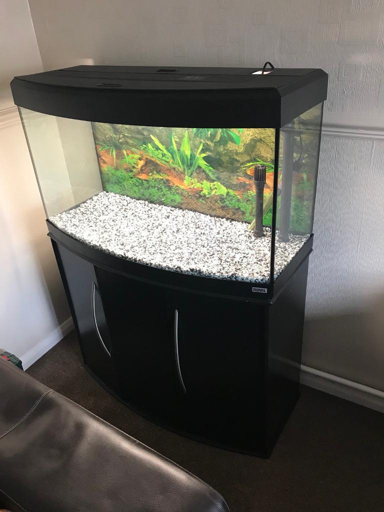 160l fish tank and cabinet | in Kirkby-in-Ashfield, Nottinghamshire ...