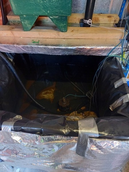 Koi Vat for sale in UK | 38 second-hand Koi Vats