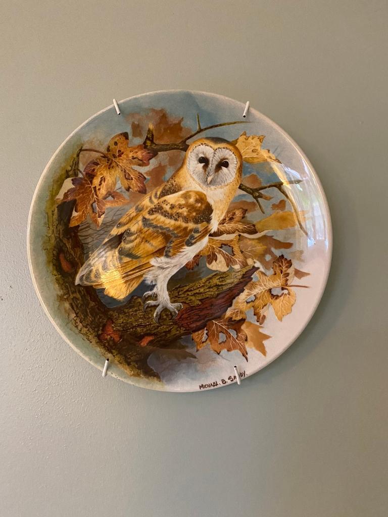Coalport barn owl plate | in Chester, Cheshire | Gumtree