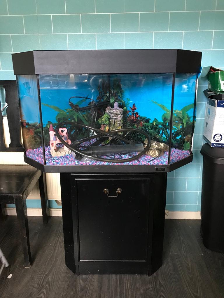 Large corner fish tank | in Derby, Derbyshire | Gumtree