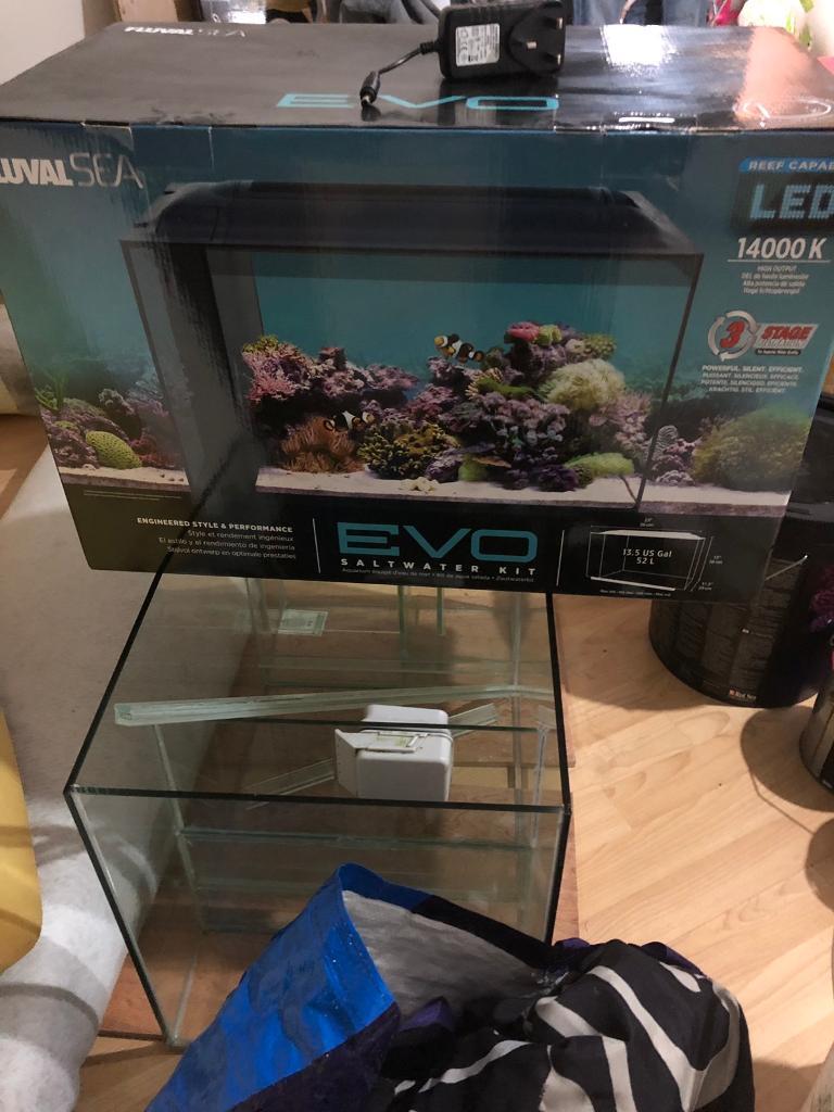 Fluval Evo marine tank for sale | in Drumchapel, Glasgow | Gumtree