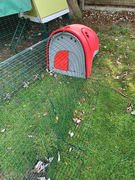 Eglu Classic for sale in UK | 26 used Eglu Classics