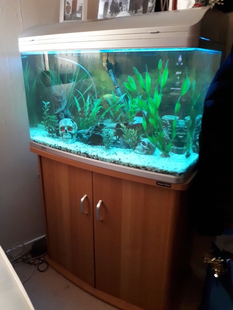 165 litre fish tank aquarium, storage display cabinet with all ...