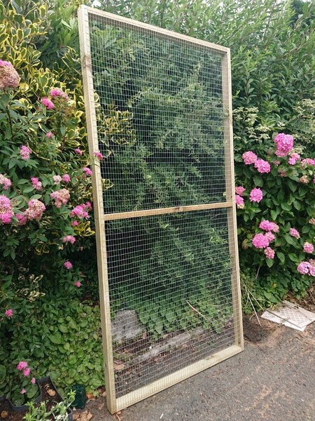 Aviary Panels for sale in UK | 70 used Aviary Panels