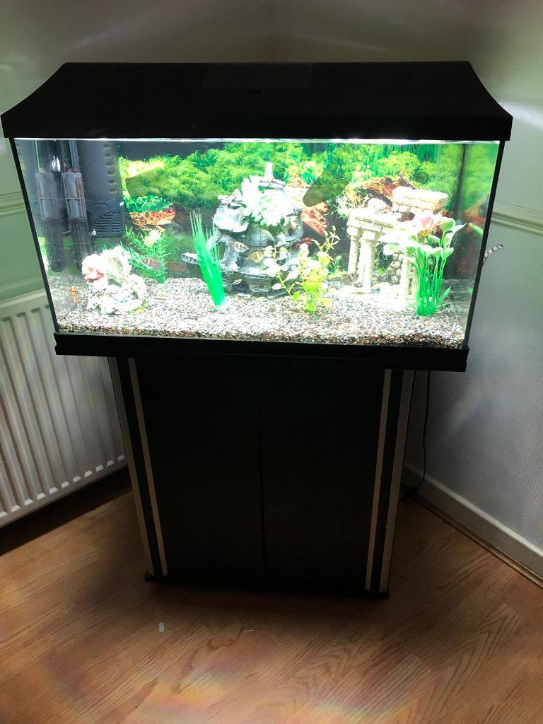 105l fish tank | in Lossiemouth, Moray | Gumtree