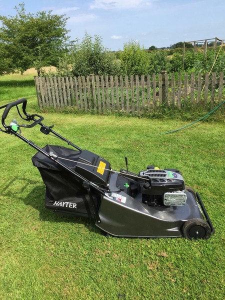 Hayter 56 for sale in UK | 31 second-hand Hayter 56