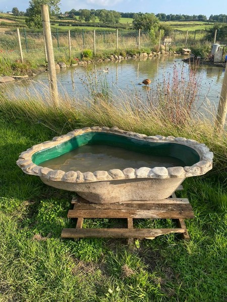 Fibreglass Pond for sale in UK | 42 used Fibreglass Ponds