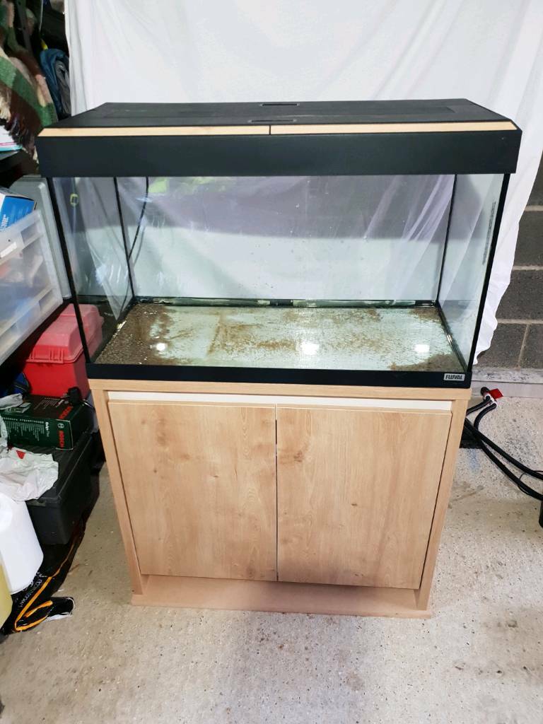 Fluval Roma 125 Aquarium Fish Tank | in Bracknell, Berkshire | Gumtree
