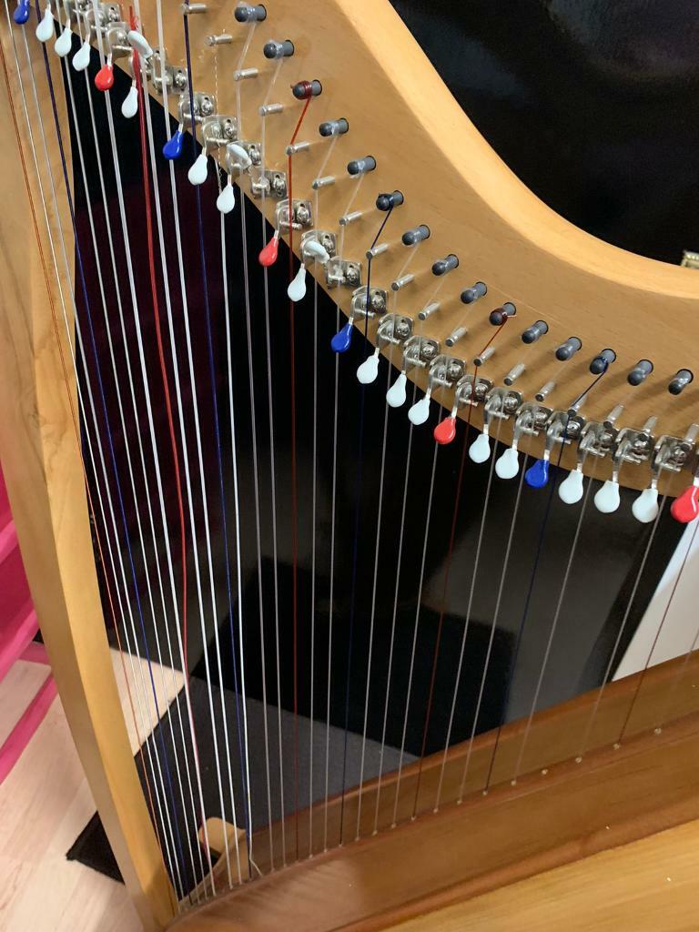 Welsh harp 34 string instrument *reduced* | in Cullybackey, County ...