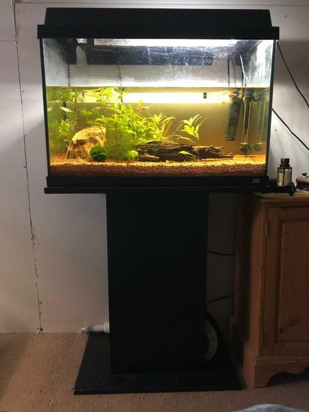 70 Litre Fish Tank for sale in UK | View 18 bargains