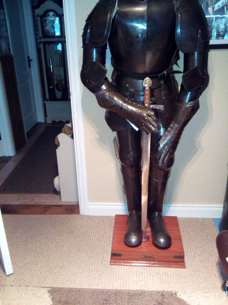Roman knight | in Ballymena, County Antrim | Gumtree