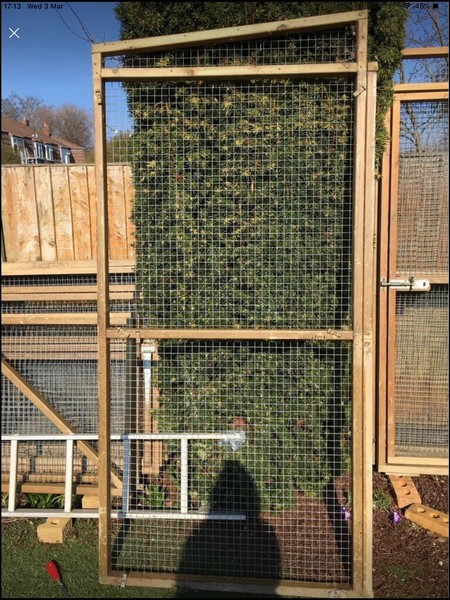 Cattery for sale in UK | 60 second-hand Catterys