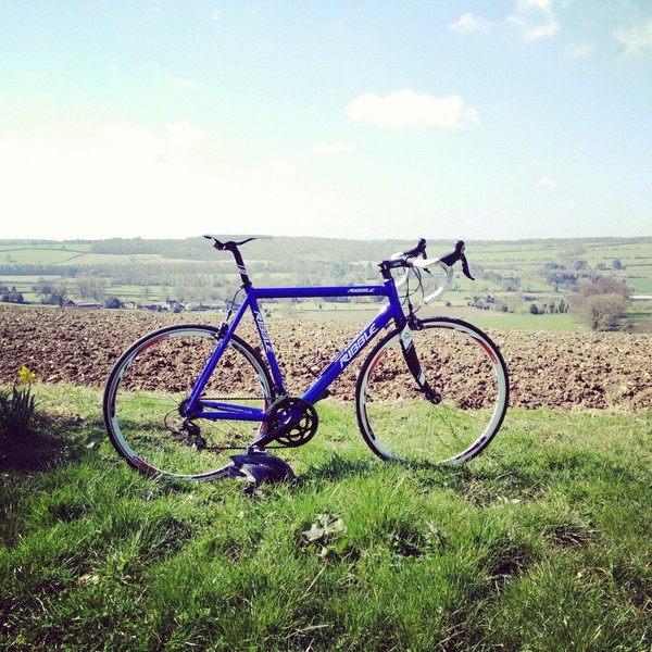 Ribble Audax for sale in UK | 19 used Ribble Audaxs