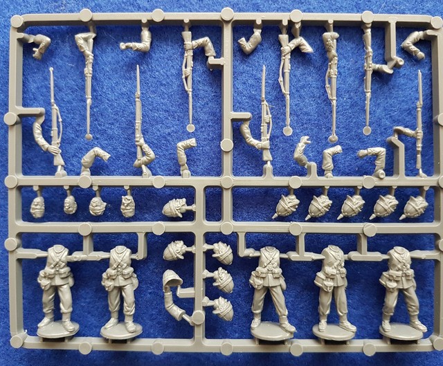 Perry Miniatures British Infantry Sprue (zulu War) | eBay