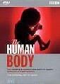 The Human Body (DVD, 1998) for sale online | eBay