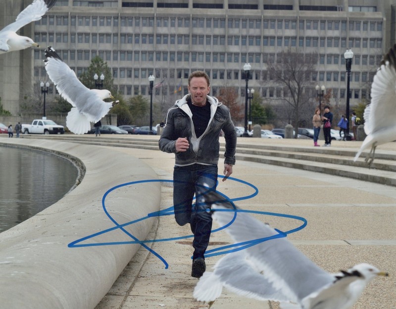 Autograph World, LLC - RACC Trusted Seller - autographworld - Real ...