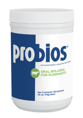 Animal Health & Veterinary - Bolus