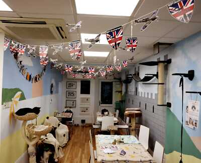 VE Day 80th Anniversary Spitfire Union Jack Bunting Party Decorations ...
