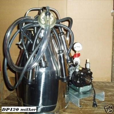 Cattle - Dairy - De Laval Milking Machine