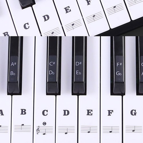 Piano key Sticker Music Keyboard Stickers Piano Beginner Learning Decal ...