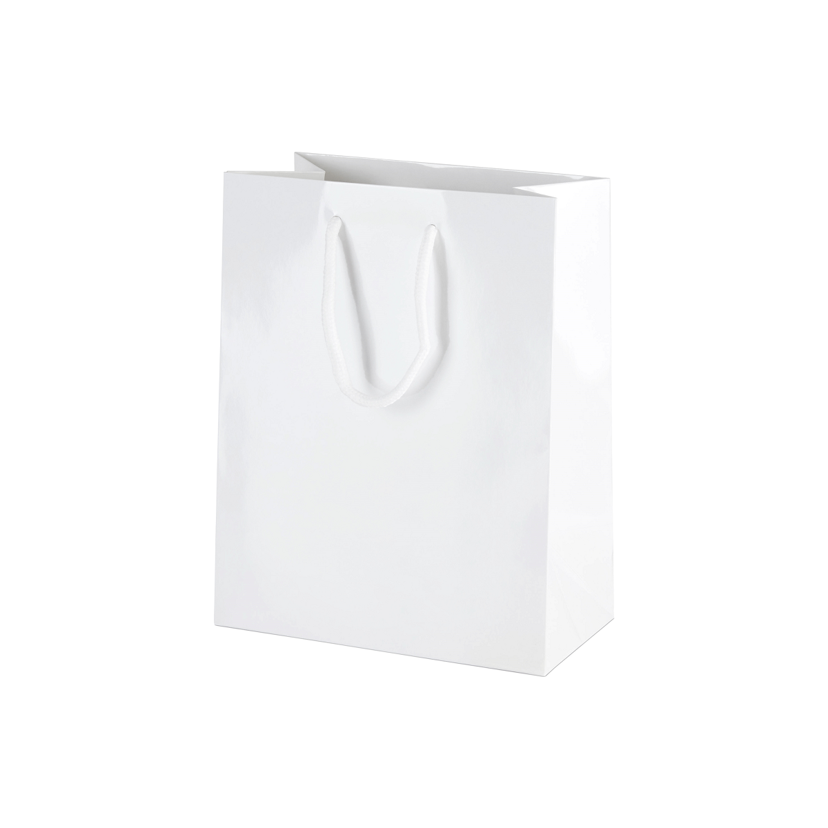 LUXURY WHITE GLOSS PAPER BAGS WITH ROPE HANDLES- CHRISTMAS & BIRTHDAY ...