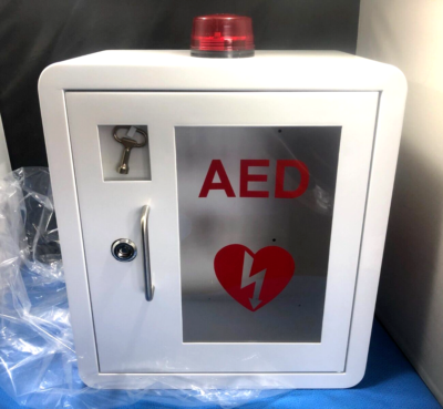 Defibrillator Storage Cabinet Wall Mount | Cabinets Matttroy