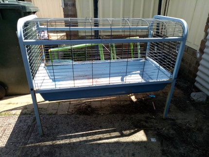 Pug Dogs & Puppies For Sale | Gumtree Australia