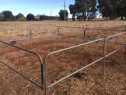 horse yard panels | Gumtree Australia Free Local Classifieds
