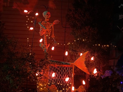 Life-Size Original Mermaid Skeleton Halloween Decoration - 73 inch | eBay