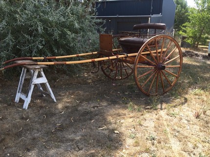 sulky | Gumtree Australia Free Local Classifieds