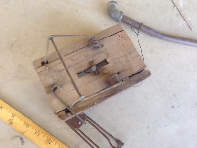 Primitives - Mouse Trap