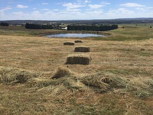 hay bales in Victoria | Miscellaneous Goods | Gumtree Australia Free ...