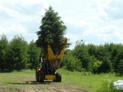 Heavy Equipment Attachments - Tree Spade