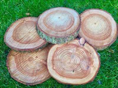 Tree Slices for sale in UK | 58 second-hand Tree Slices